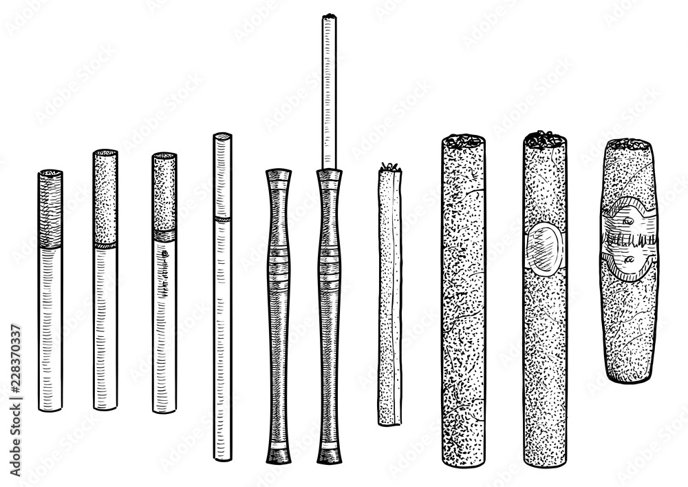 เวกเตอร์ Stock Cigarette, cigar illustration, drawing, engraving, ink ...