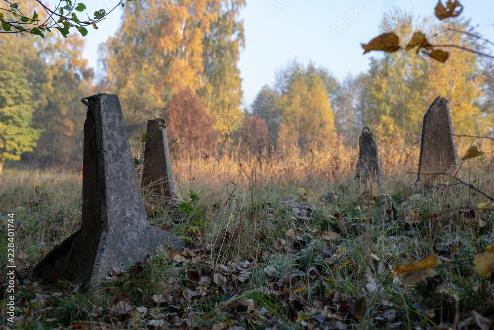 Dragon's teeth arranged in a wet area. Firewall for tanks from World ...