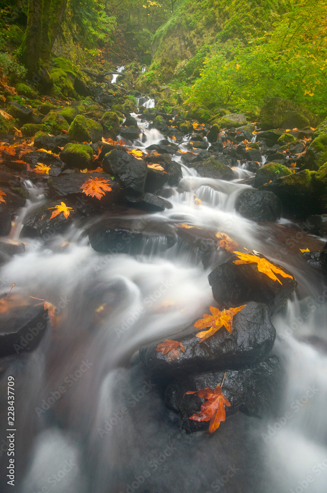 Waterfall and fall color in the Columbia River Gorge Stock Photo ...