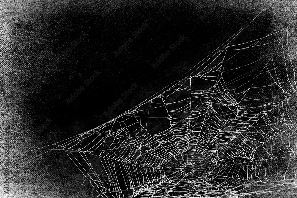 Scary Dark Web Pictures