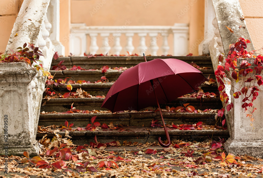 Autumn leaf fall. Red and yellow leaves on the destroyed old stone ...