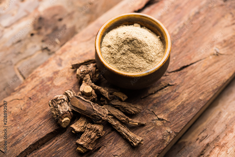 Hemidesmus indicus also known as Ananthamoola or Naruneendi or Nannari ...