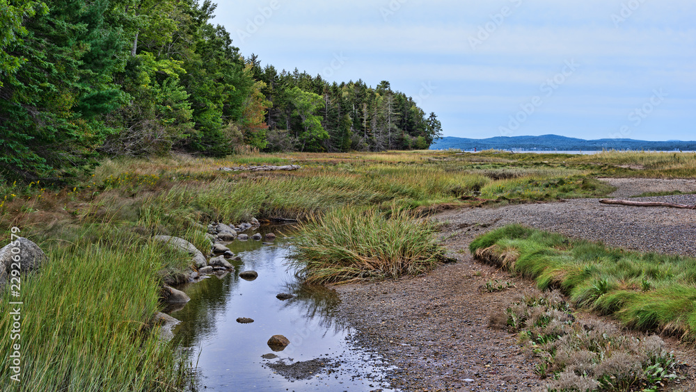 A small tidal stream on the shore of Sears Island in Maine on an ...