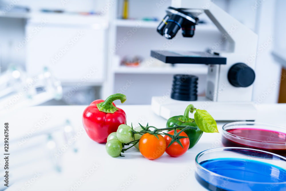 Chemical Laboratory of the Food supply . Food in laboratory, dna modify ...