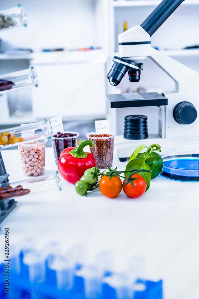 Chemical Laboratory of the Food supply . Food in laboratory, dna modify ...
