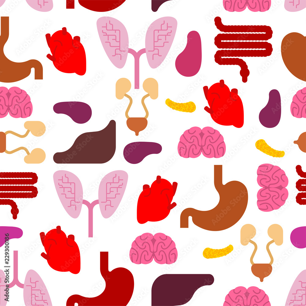 Human Internal organs pattern seamless. Anatomy background. Systems of ...