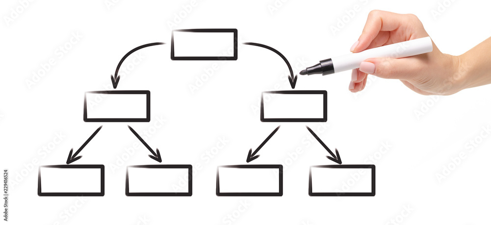 Hand marker drawing diagram scheme empty flow chart isolated on white ...