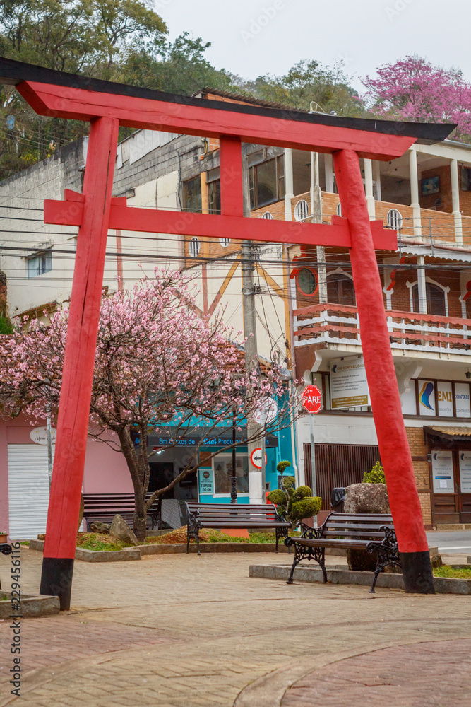 Arco Japonês | Japanese Arch | Torii Stock Photo | Adobe Stock