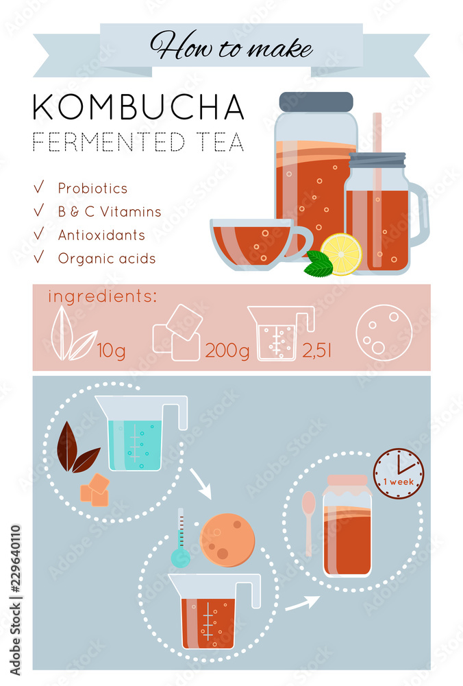 Kombucha fermented probiotic tea recipe vector infographic. How to make ...
