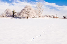 Snowy Field Free Stock Photo - Public Domain Pictures