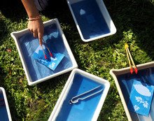 Cyanotype Free Stock Photo - Public Domain Pictures