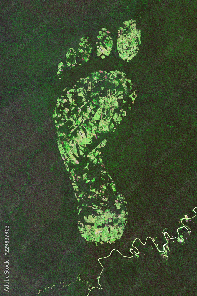 Ecological footprint - deforestation in the rainforest - concept based ...