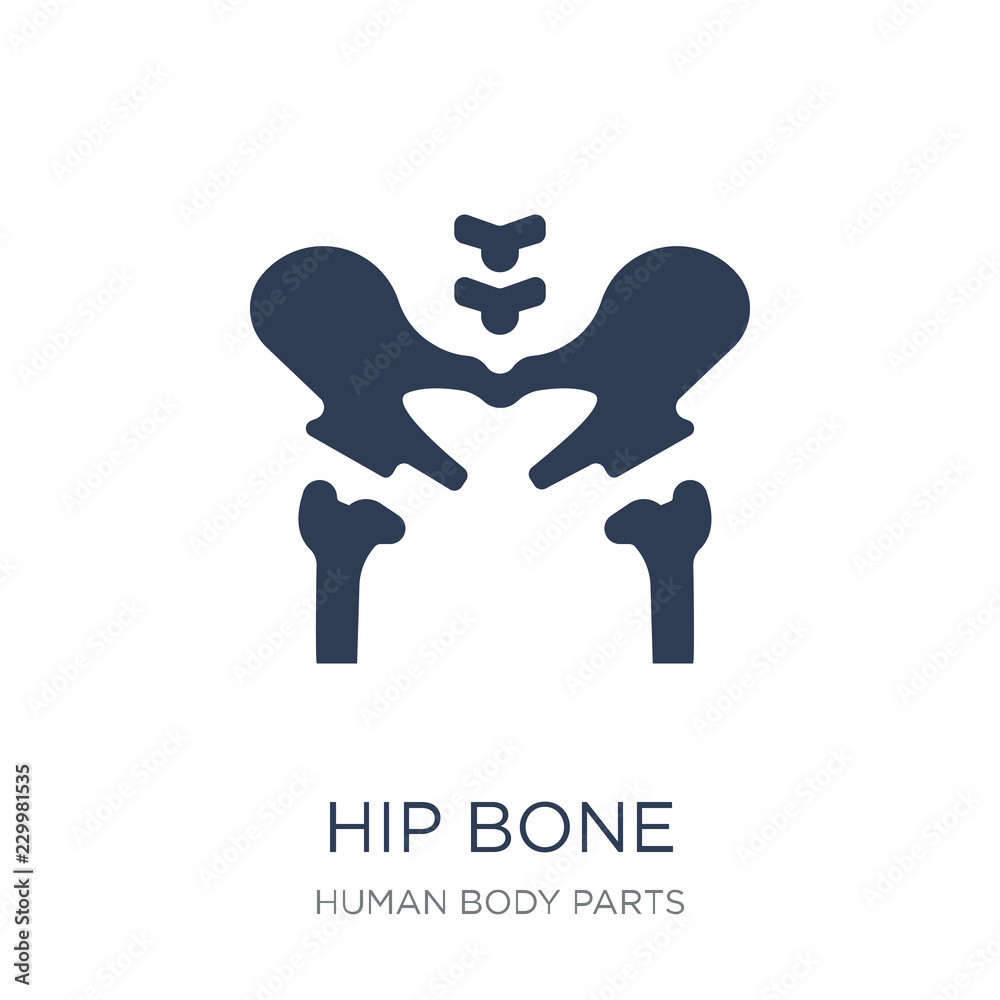 Hip Bone icon. Trendy flat vector Hip Bone icon on white background ...