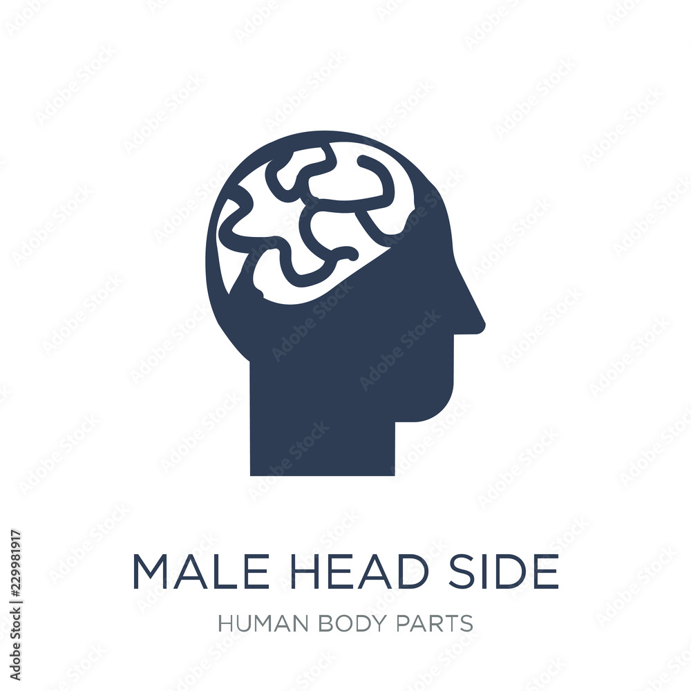 Male head side view with brains icon. Trendy flat vector Male head side ...