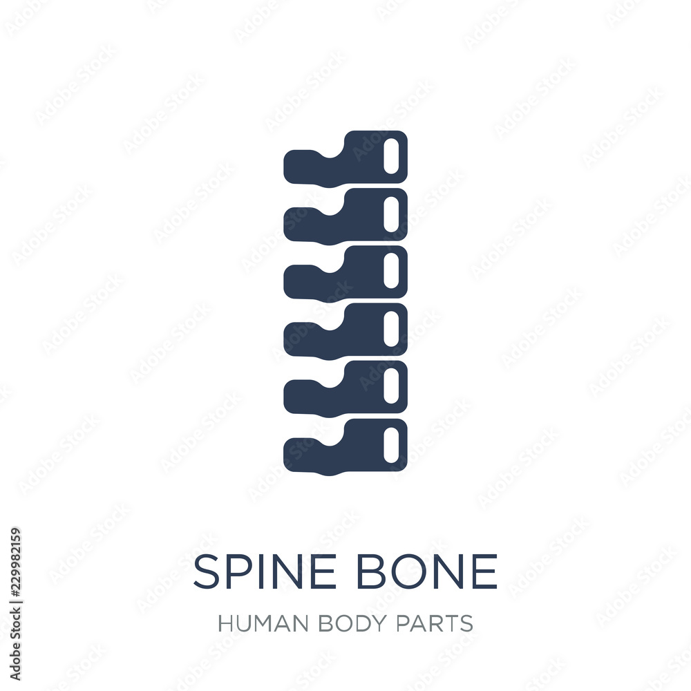 Spine Bone icon. Trendy flat vector Spine Bone icon on white background ...