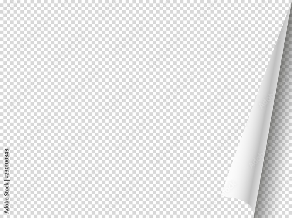 Bending paper vector mockup. Vector object isolated on transparent ...