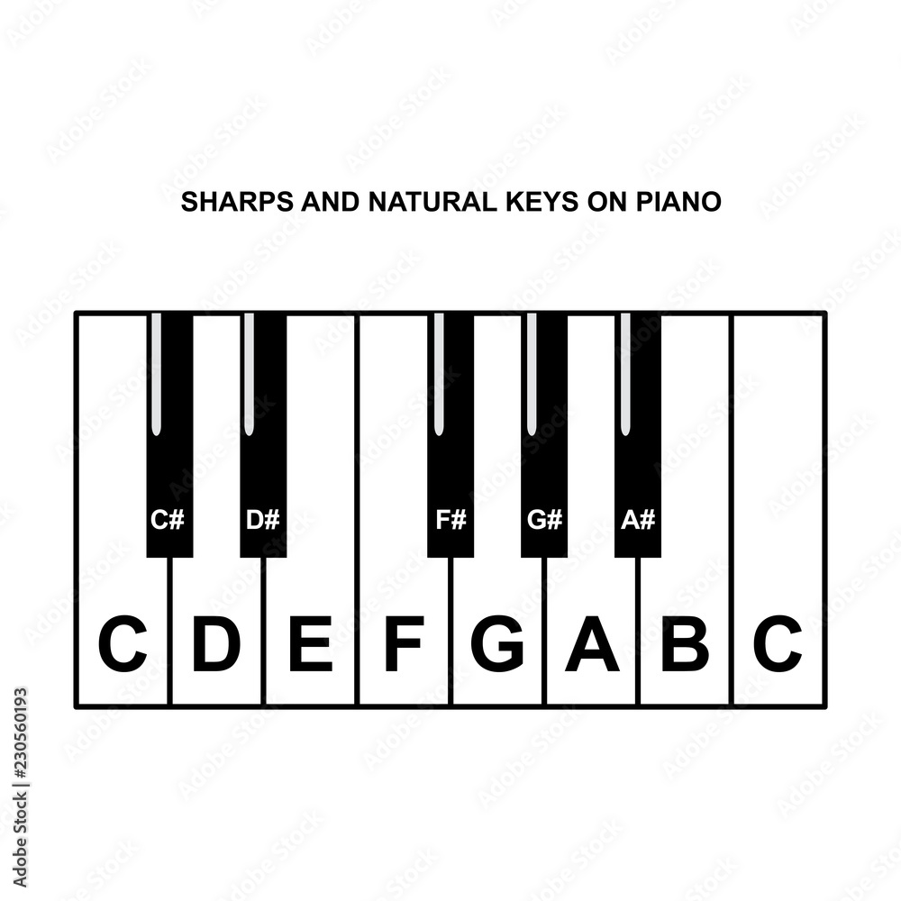 Piano keyboard diagram - piano keyboard layout on white background ...