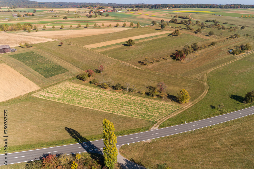 luftbild Weisen und Felder im Herbst Stock Photo | Adobe Stock