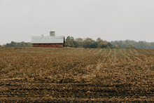 Indiana Cornfield Free Stock Photo - Public Domain Pictures