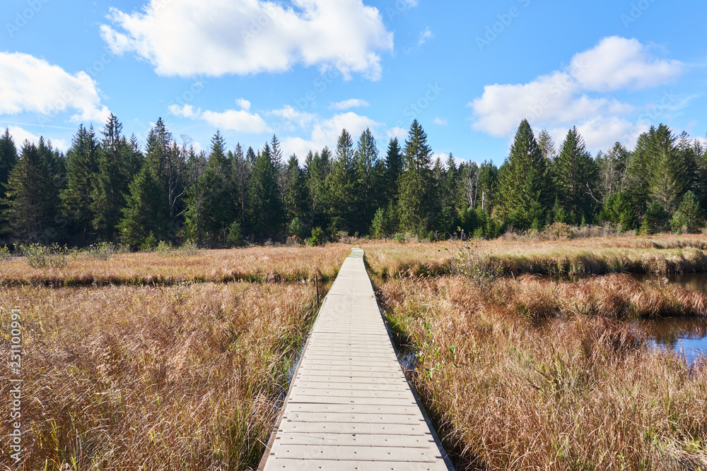 A floating boardwalk over a marsh at Beaver Meadows in Allegheny ...