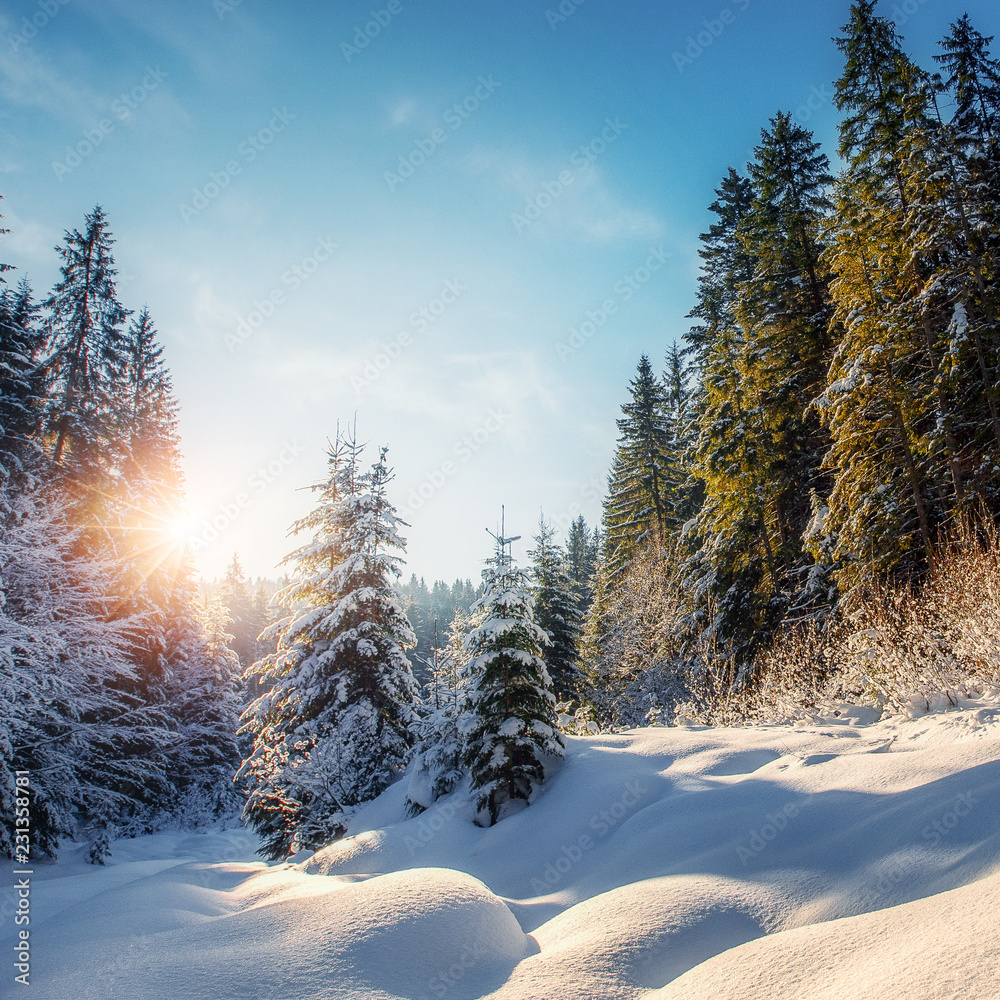 Wonderful Winter Landscape with Perfect Sky at Sunny Day Stock Photo ...