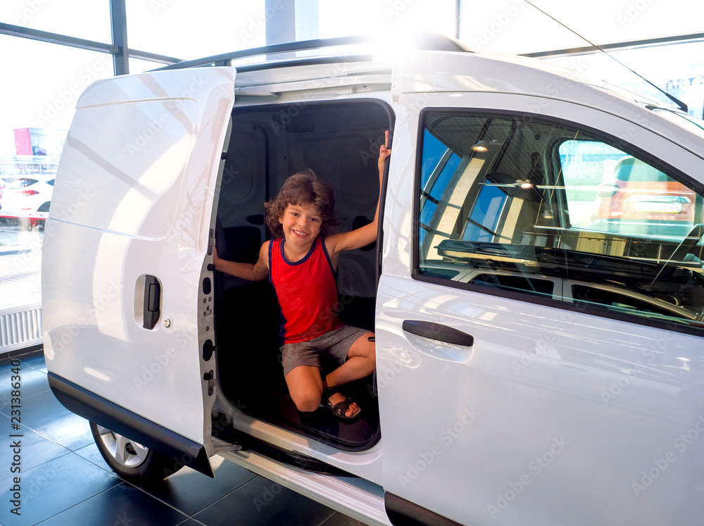 Two amusing brunet little boy sitting in a minibus with a sliding door ...