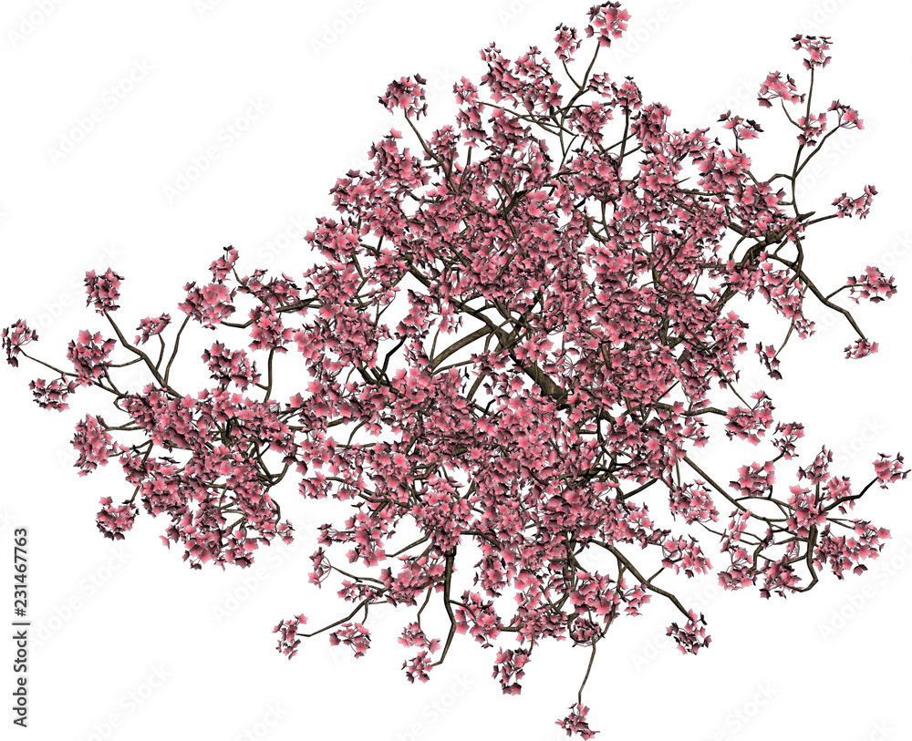 Plant & Tree overhead icon / top view symbols isolated on white ...