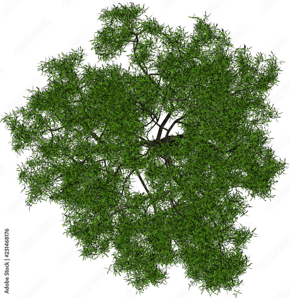 Illustration Stock Plant & Tree overhead icon / top view symbols ...