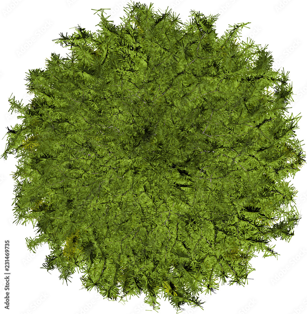 Plant & Tree overhead icon / top view symbols isolated on white ...