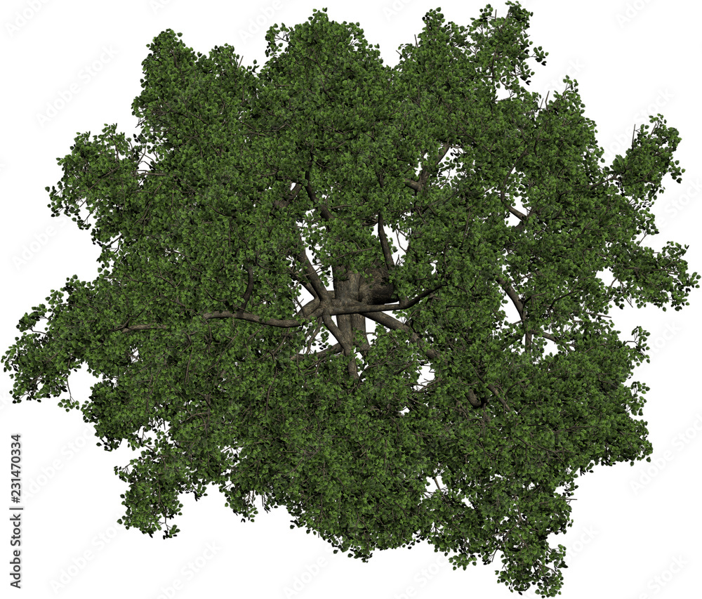 Illustration Stock Plant & Tree overhead icon / top view symbols ...