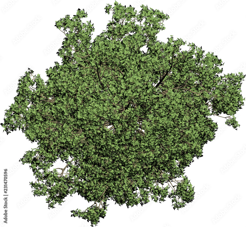 Illustration Stock Plant & Tree overhead icon / top view symbols ...