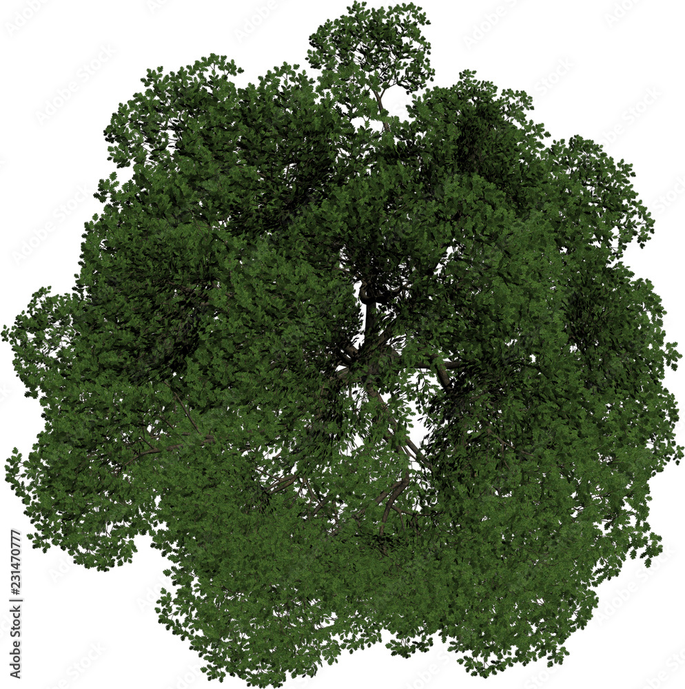 Plant & Tree overhead icon / top view symbols isolated on white ...