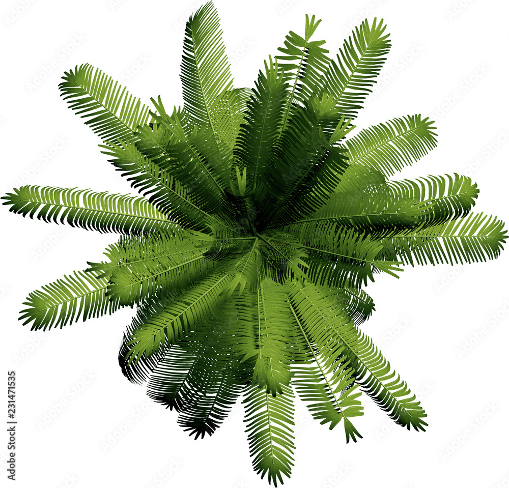 Plant & Tree overhead icon / top view symbols isolated on white ...