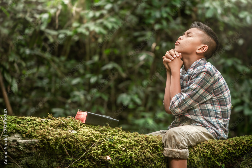 Boy praying and reading book or holy bible on tree with moss. Children ...
