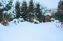 Snowy Backyard Free Stock Photo - Public Domain Pictures