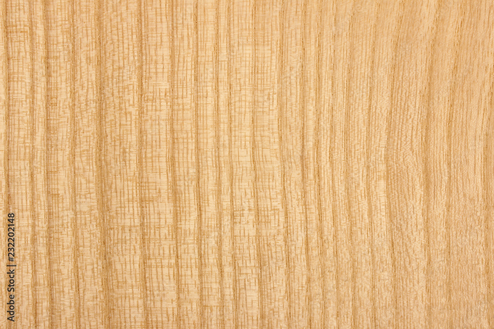 Ash wood texture surface detail Stock Photo | Adobe Stock