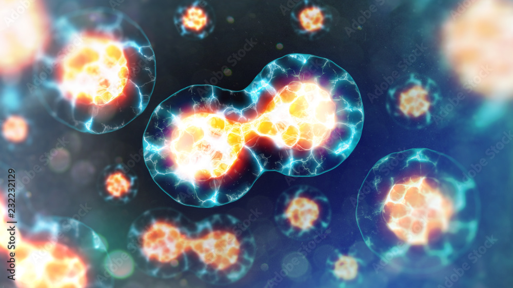 Human (animal) cell under microscope (3D illustration) Stock ...