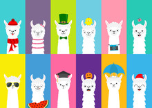 St. Patrick's Day Llama Free Stock Photo - Public Domain Pictures
