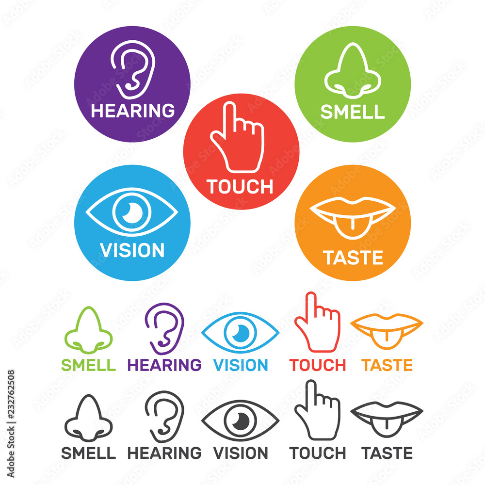 Five senses vector icons set isolated white. Smell and see, feel and ...