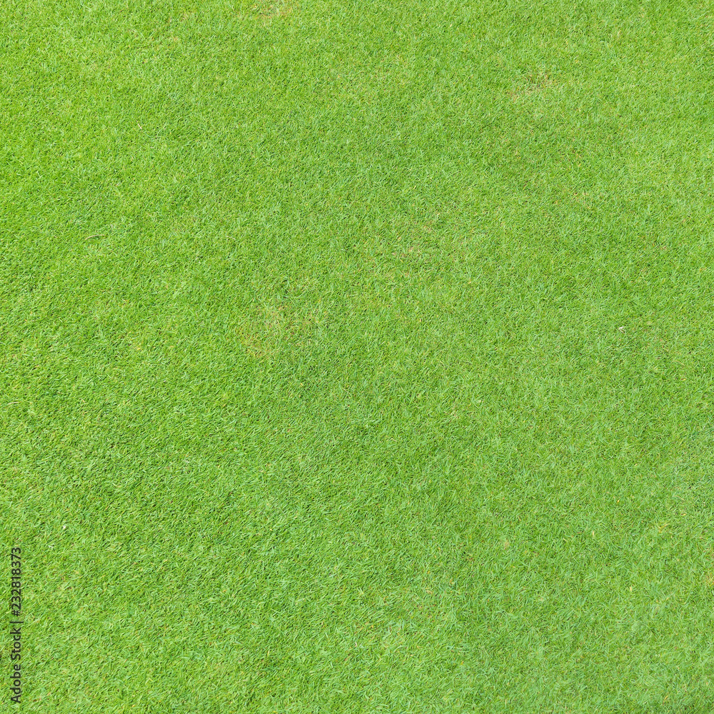 Golf fairway grass texture top view の Stock フォト | Adobe Stock