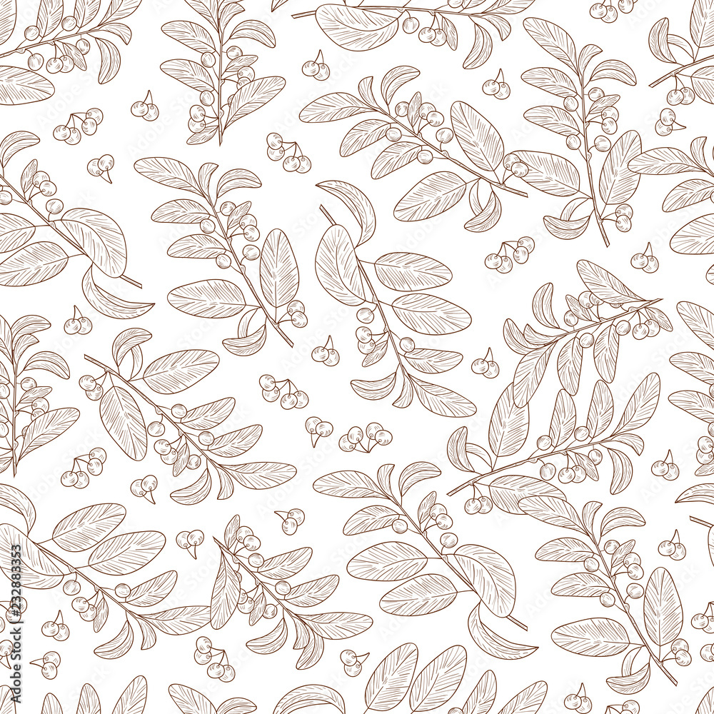 Vektor Guggul. Plant. Branch, leaves, fruit. Background, wallpaper ...