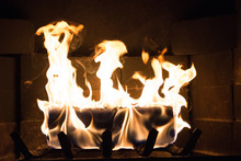 Roaring Wood Camp Fire Free Stock Photo - Public Domain Pictures