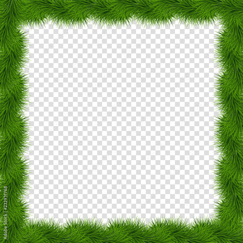 Realistic vector fir-tree square border frame on transparent background ...
