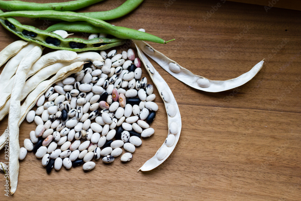 Stages of the bean crop: green and dry with ready dry beans of the same ...