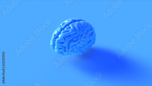 Blue Human brain Anatomical Model 3d illustration 3d rendering - Buy ...