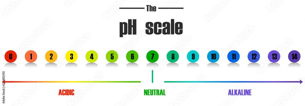 Science pH scale template Stock Vector | Adobe Stock