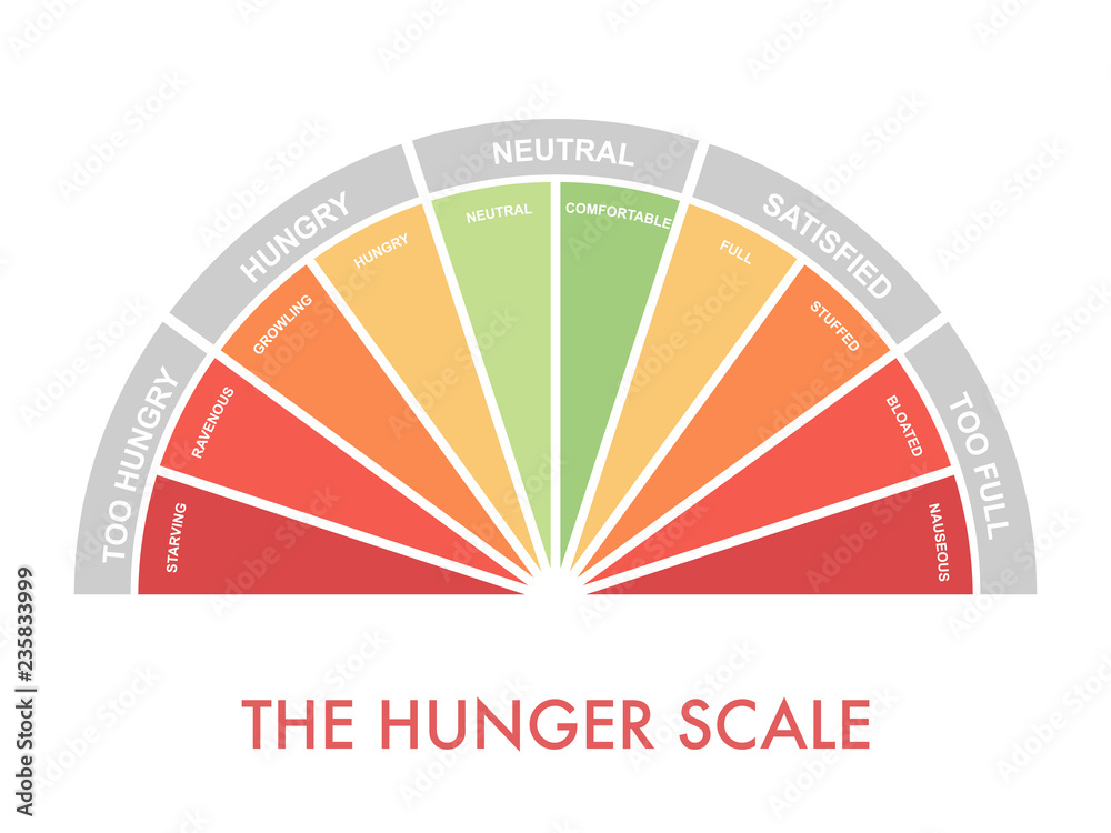 Hunger-fullness scale 0 to 10 for intuitive and mindful eating and diet ...