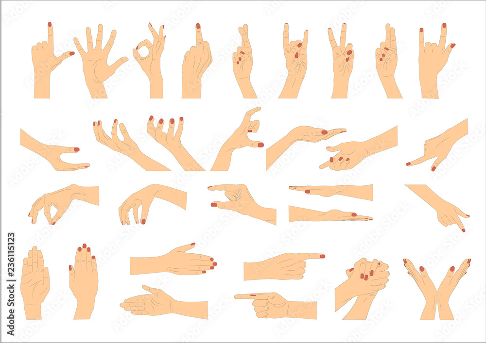 Hand gestures. Vector illustration. Stock Vector | Adobe Stock