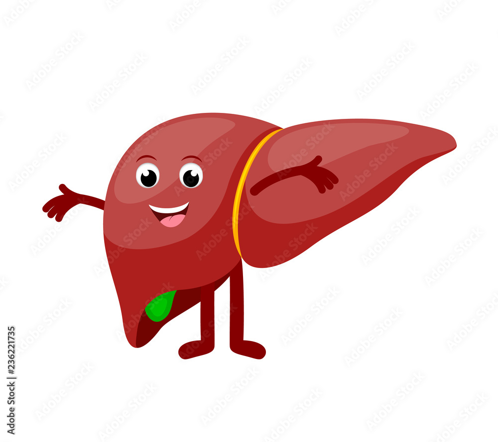 Healthy liver cartoon character standing. Happy liver, healthy organ ...