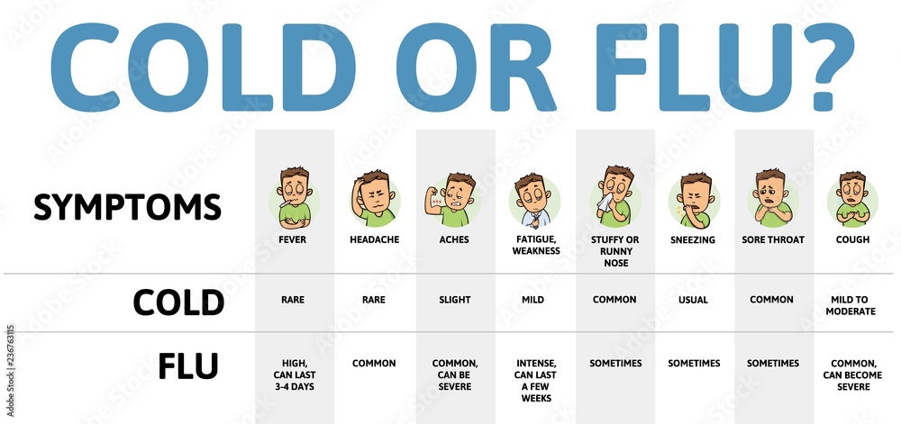 Cold and flu symptoms table chart. Infographic poster with text and ...